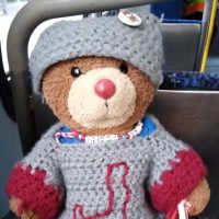 Jerry Says Eh – Blog – A little teddy bear and his family